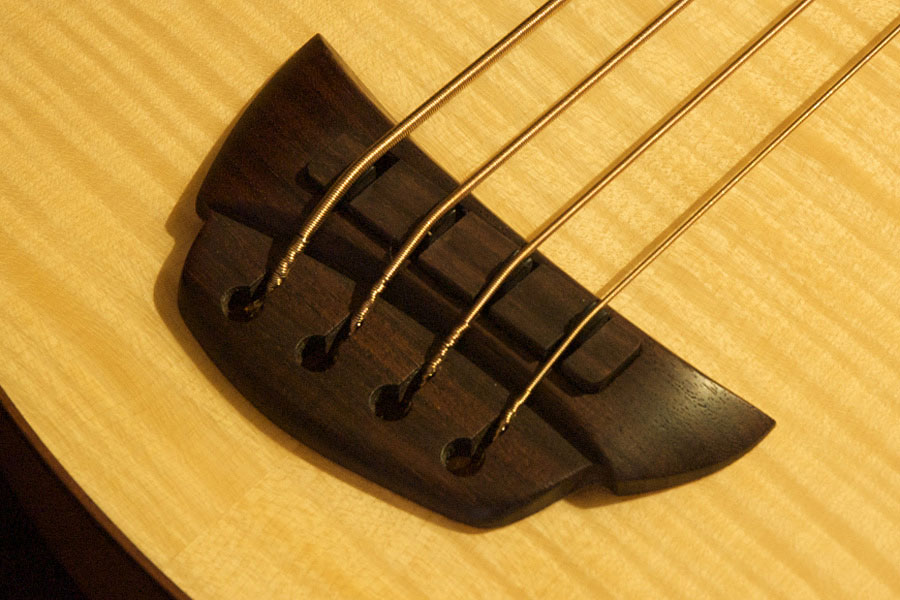 Bass of the Week: Overwater Basses Expression Semi-Acoustic Bass – No ...