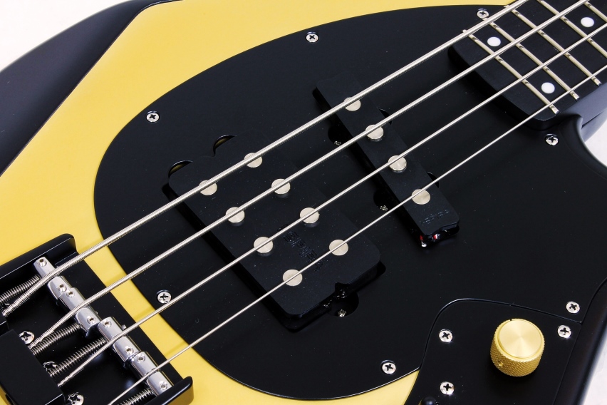 Alusonic Announces David Caraccio Hybrid Signature Bass – No Treble