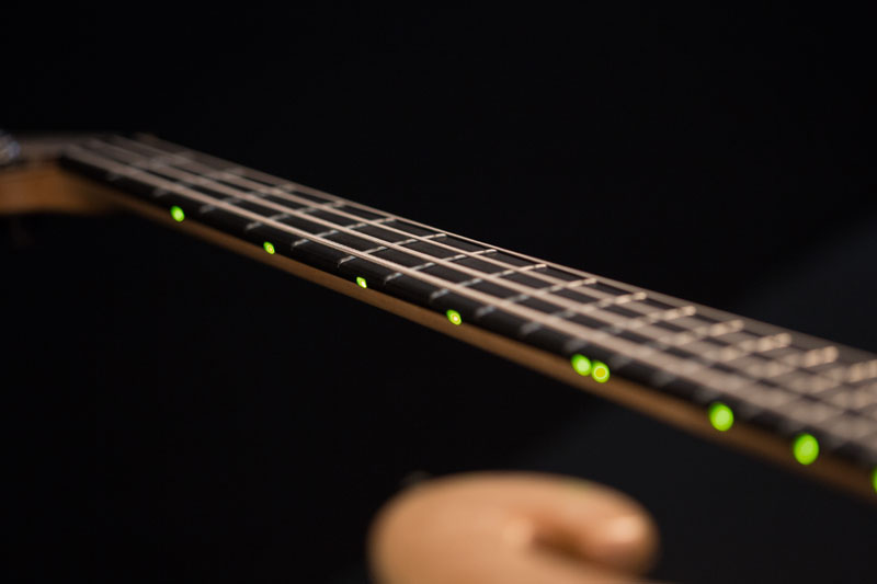 Bass of the Week: Pachyderm Basses Blonde Bass – No Treble