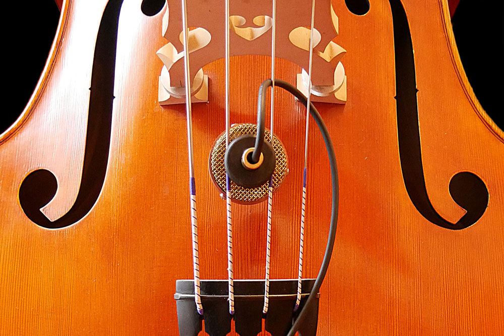 Ear Trumpet Labs Introduces Nadine Upright Bass Microphone – No Treble