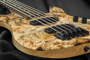 Kiesel Guitars Introduces Aries Bass Series – No Treble